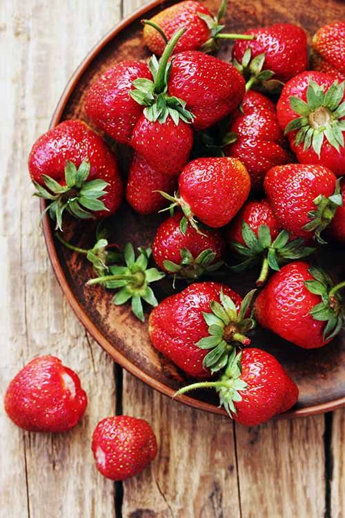 草莓買回來「不到幾天」就發霉變壞？30秒讓草莓能多放一個禮拜！ | TEEPR 亮新聞