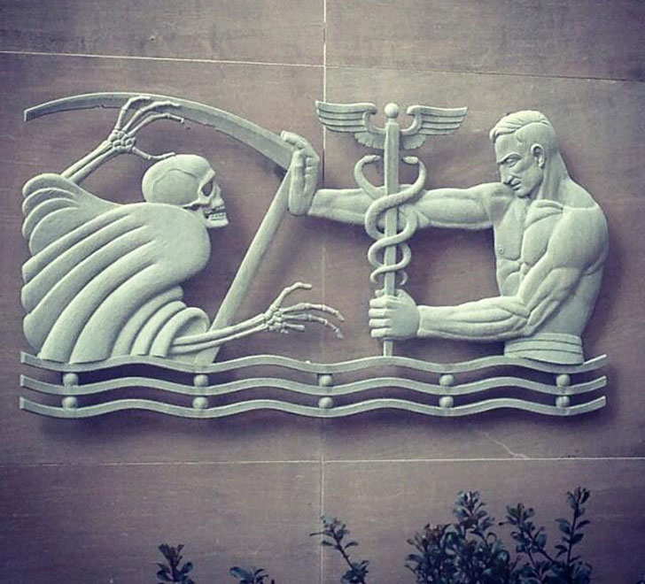 30張你就算再幸運都不可能親眼看到的超罕見爆笑景象。 | TEEPR 亮新聞